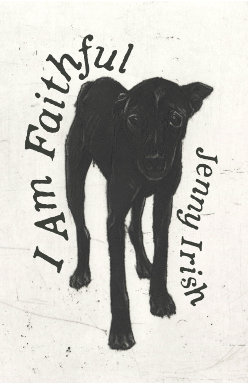 New Book from Jenny Irish